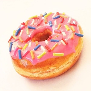 Rainbow Sprinkled Pink Donut Magnet – Miniature Food Decor - Etsy