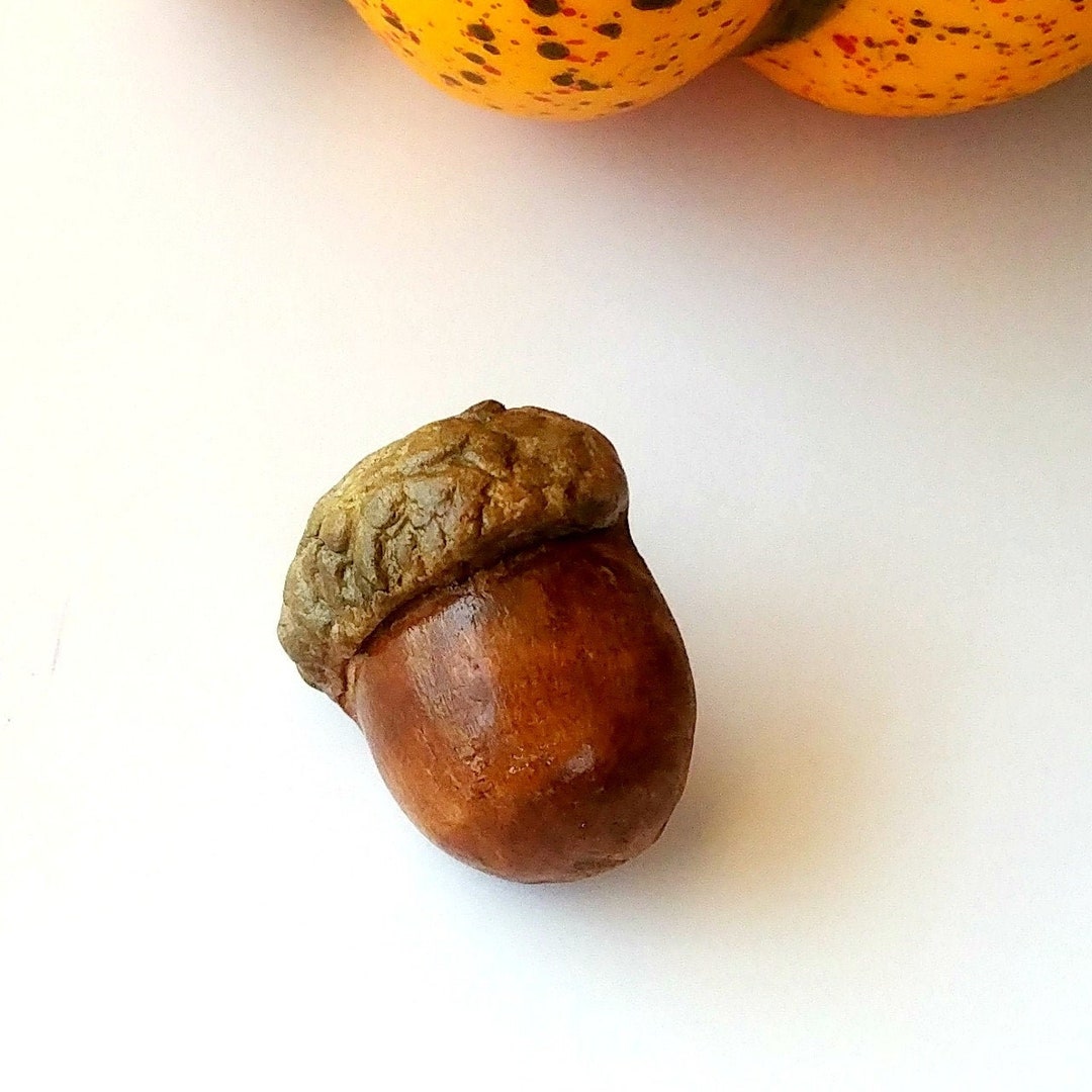 Acorn Lapel Pin, Thanksgiving Pin, Halloween Costume Accessory Woodland ...