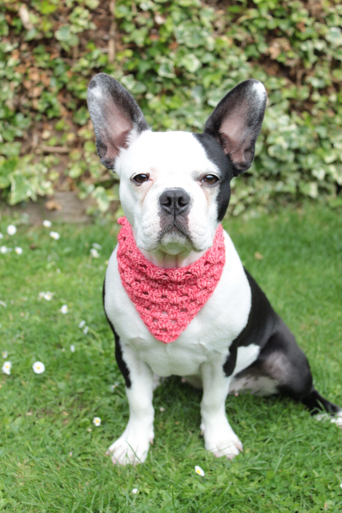 Crochet Dog Bandana PDF Pattern/ Crochet Dog Scarf/ Crochet - Etsy