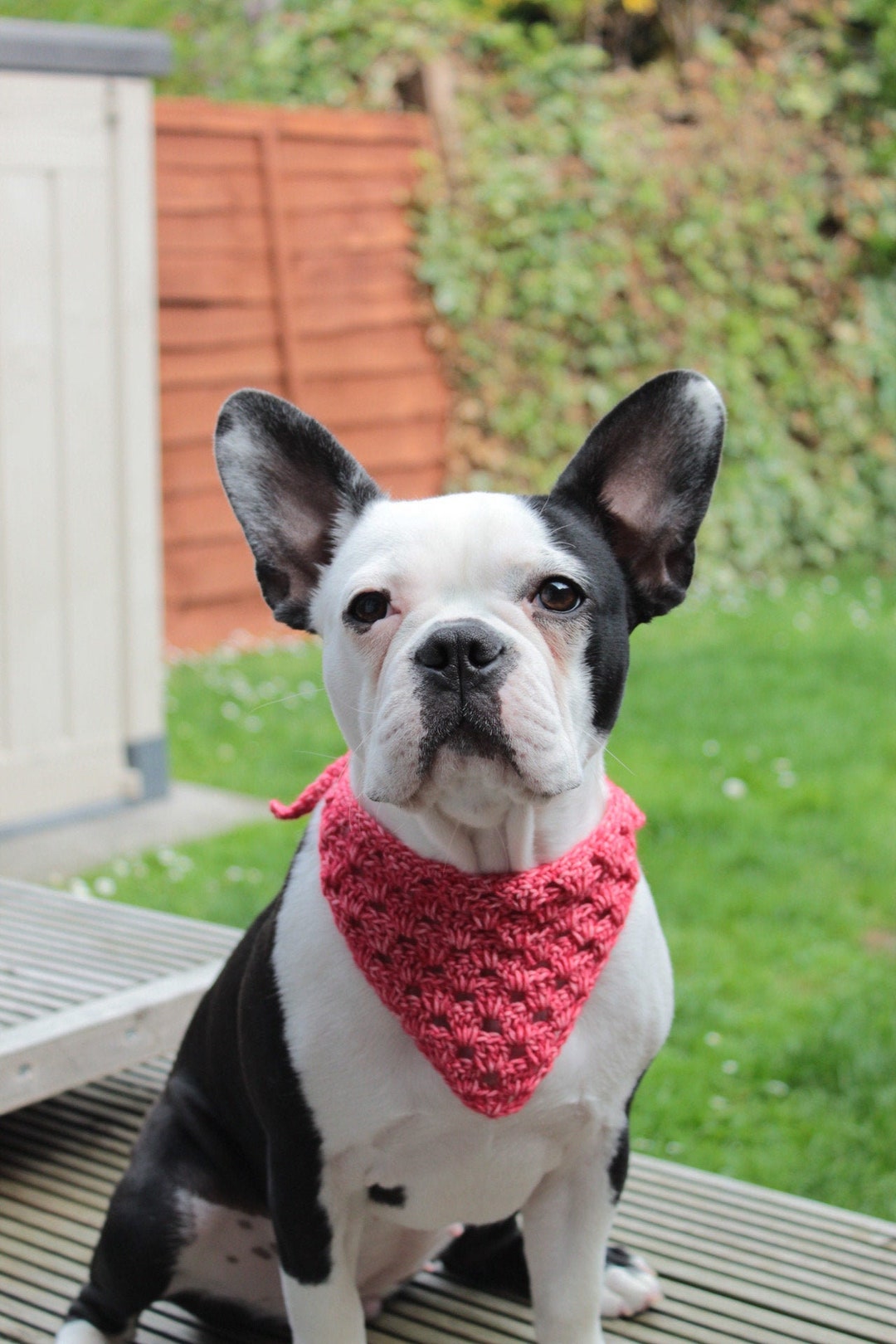 Crochet Dog Bandana PDF Pattern/ Crochet Dog Scarf/ Crochet for Pets ...