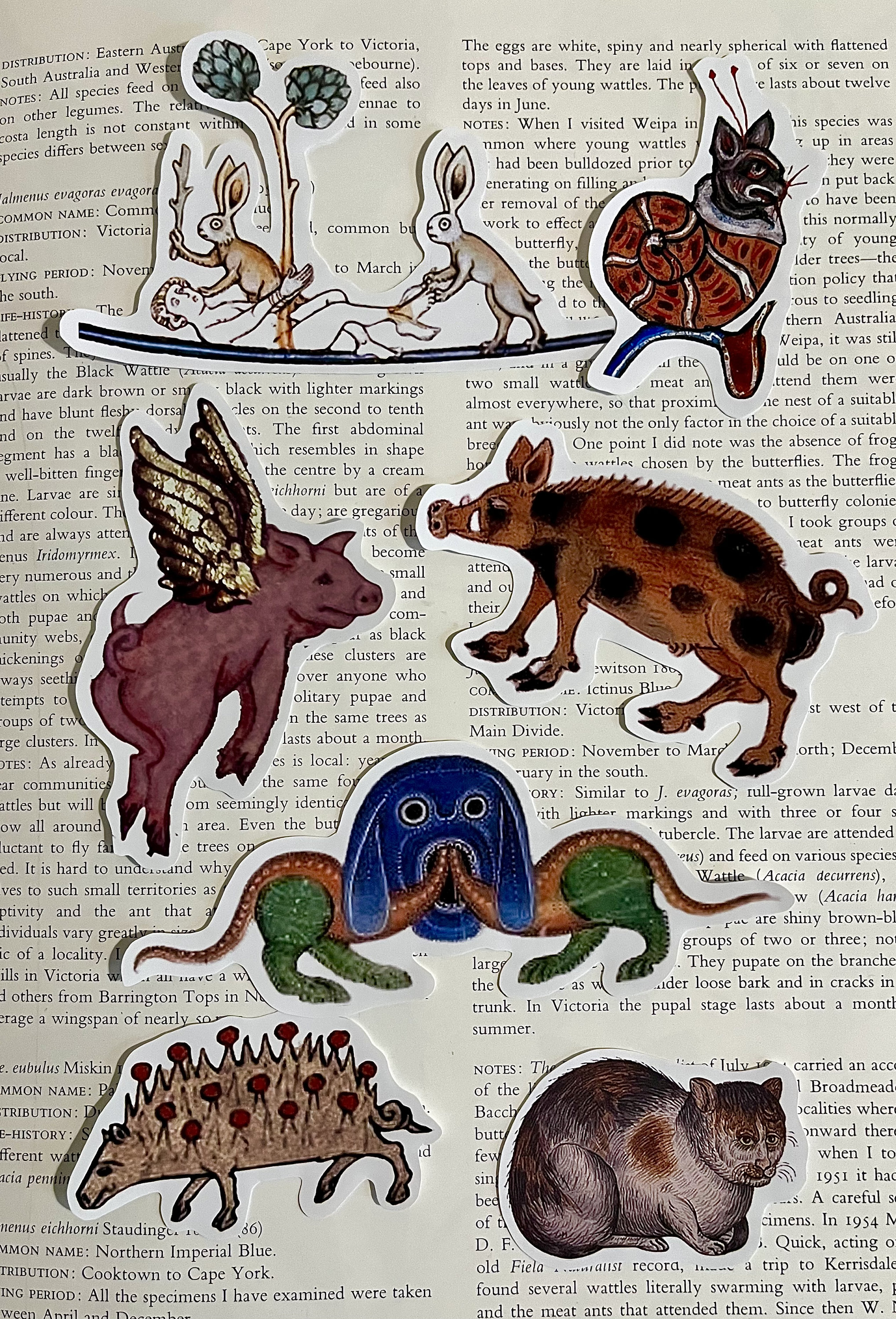 Medieval Stickers. Medieval Manuscript Animal Stickers - Etsy