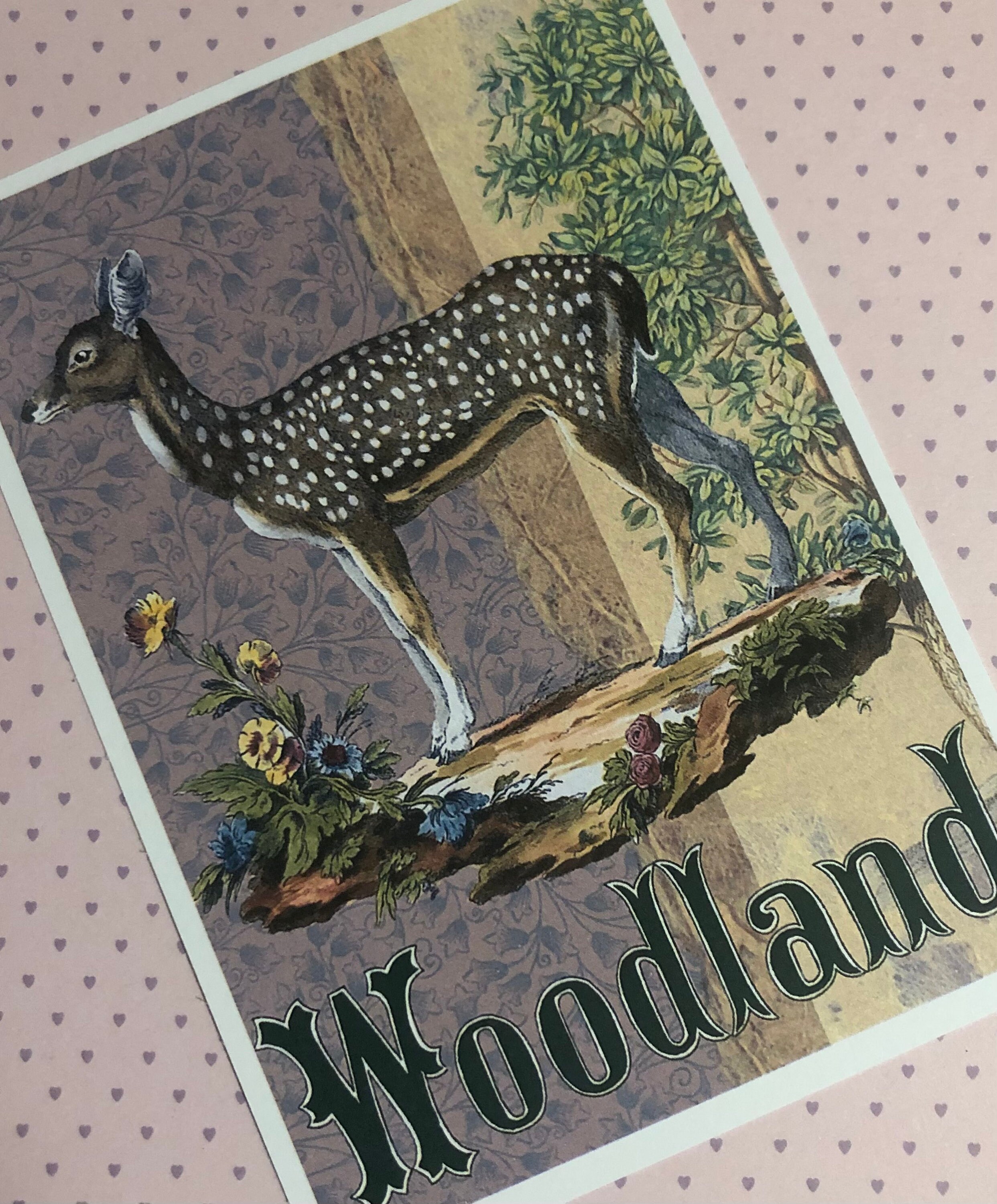 Woodland Postcards. Pretty Woodland Cards Featuring Deer, Frog and ...