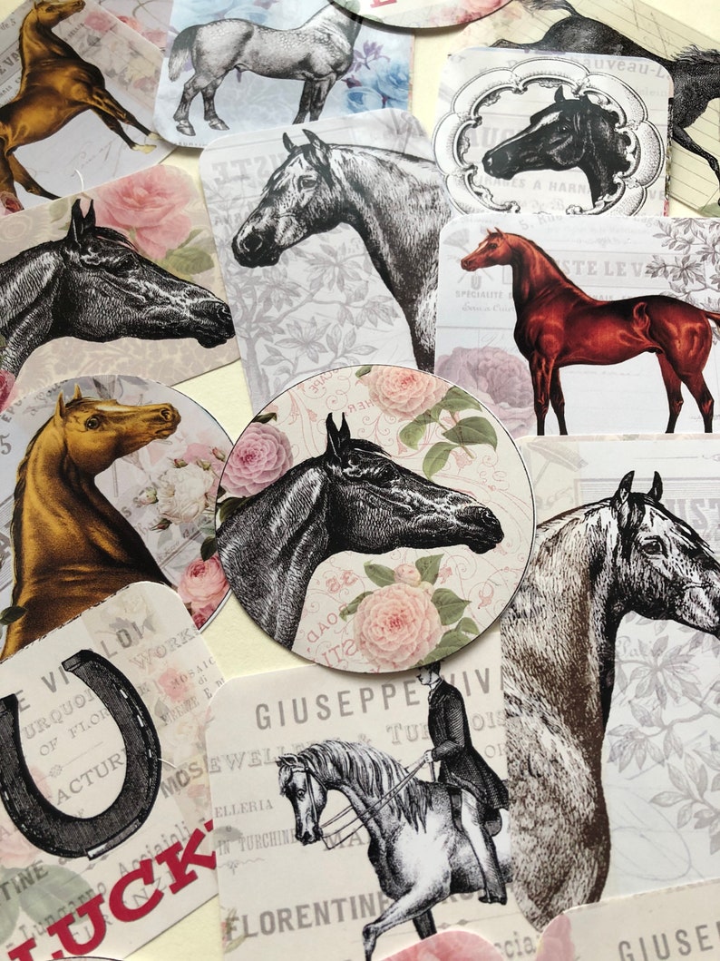 Horse stickers. Pretty horse stickers for your journal card | Etsy