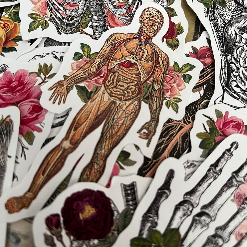 Flower Anatomy Sticker - Etsy UK