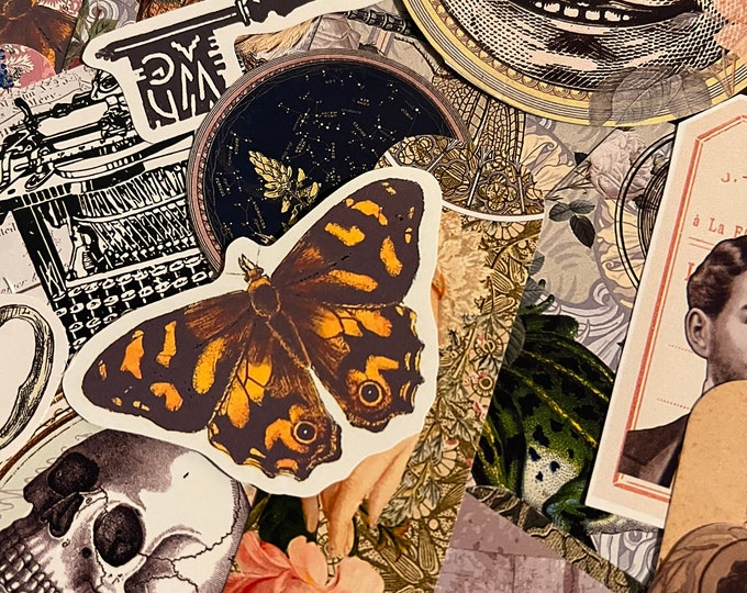 Dark Academia Stickers. 22 Library Themed Dark Academia Stickers - Etsy