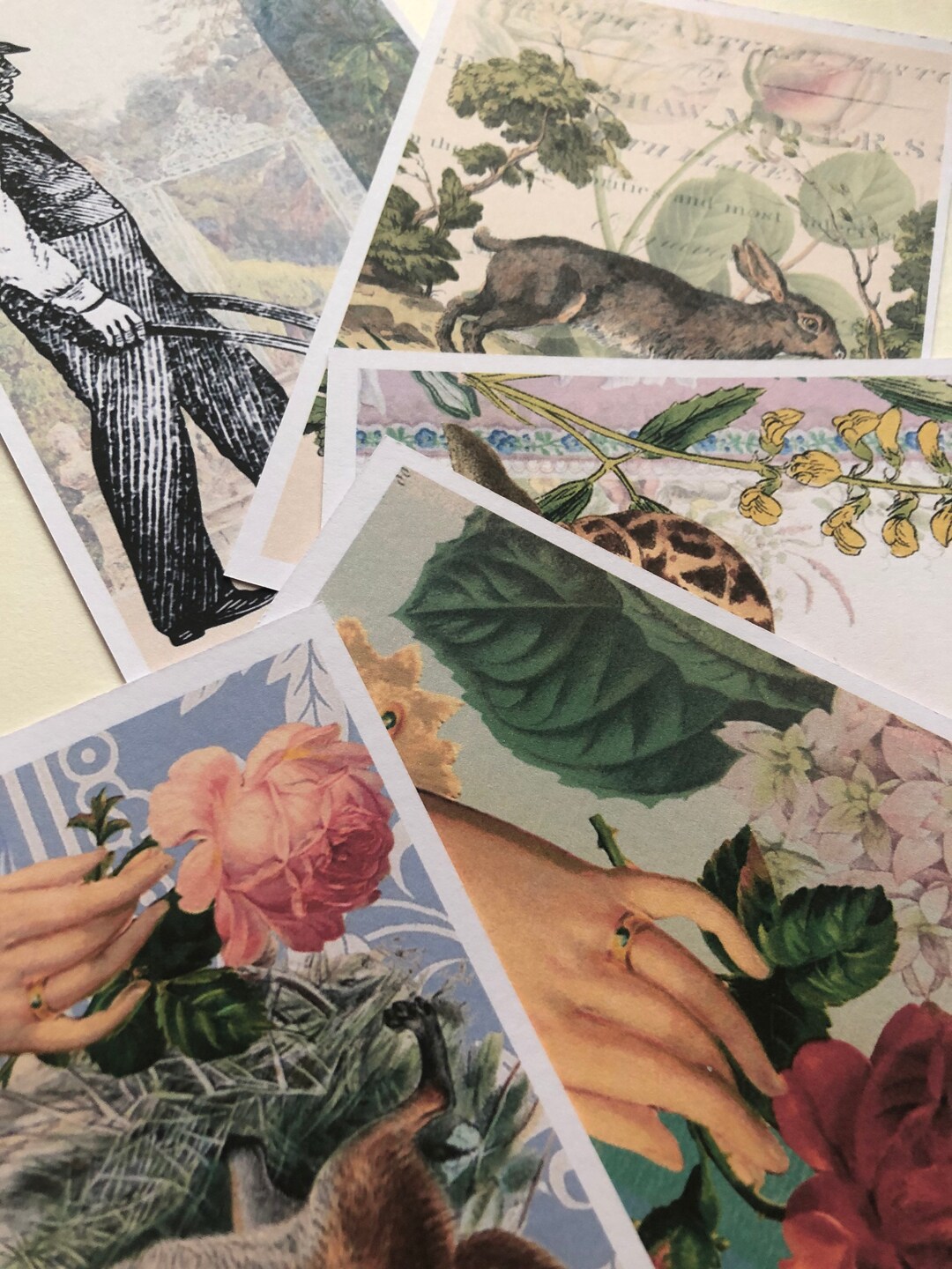 Secret Garden Postcards. Pretty Garden Inspired Postcards - Etsy
