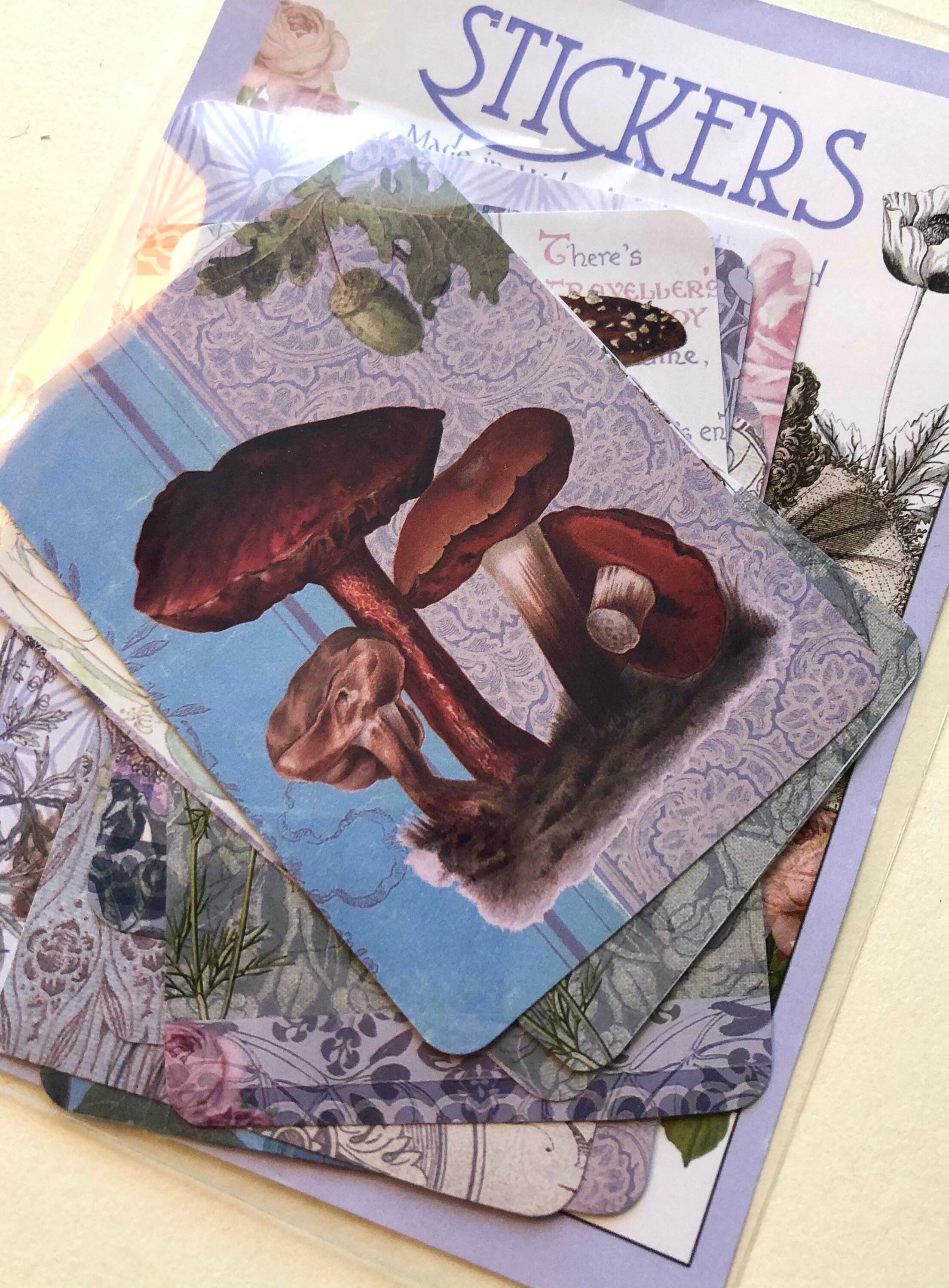 Mushroom stickers. Beautiful variety of mushroom stickers | Etsy