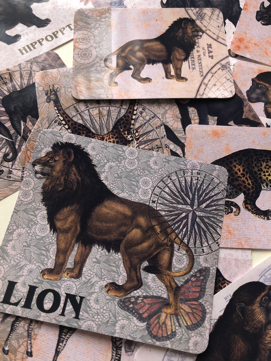 African Animal Stickers. Lion and Other Safari Stickers. Beautiful ...