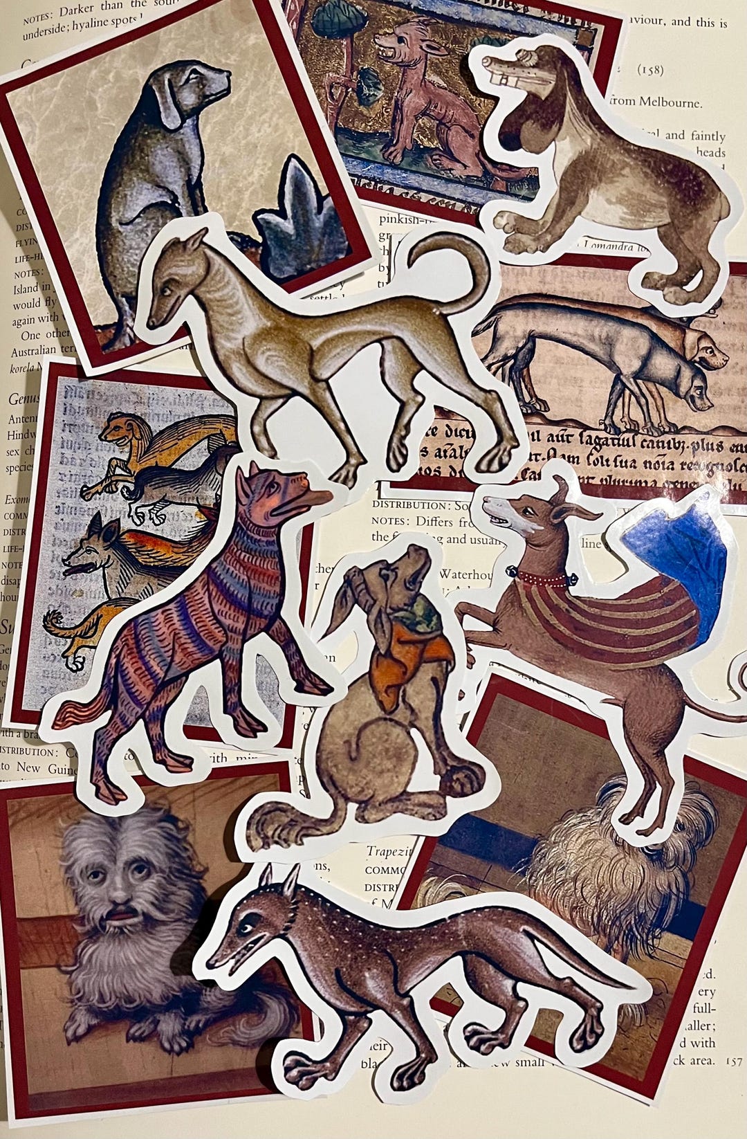 Medieval Dog Stickers. 12 Medieval Dog Stickers - Etsy