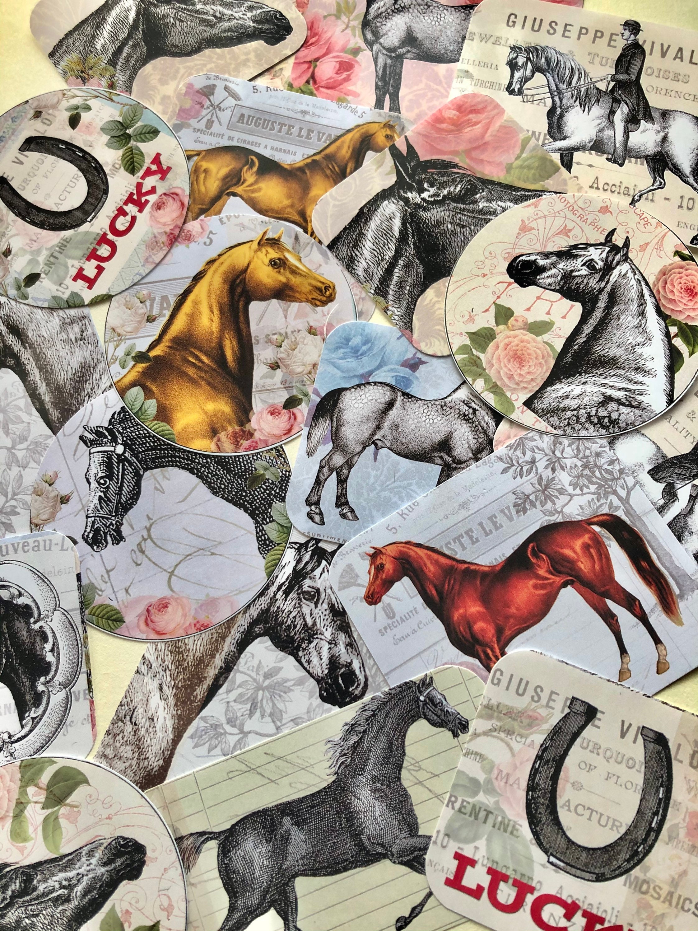 Horse Stickers. Pretty Horse Stickers for Your Journal Card | Etsy UK