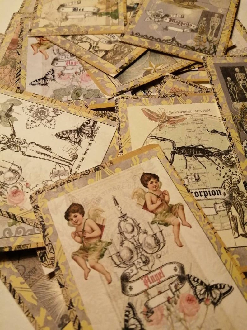Tarot Sticker and Card Set. Insect Style Tarot Cards. - Etsy