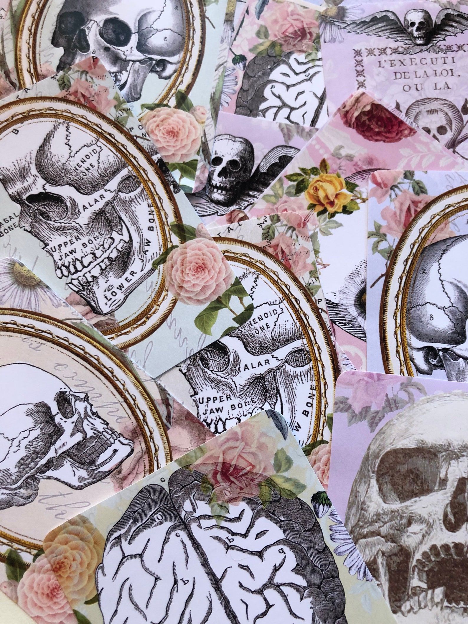Skeleton Stickers. Anatomical Stickers of Skulls and Roses. Pretty ...
