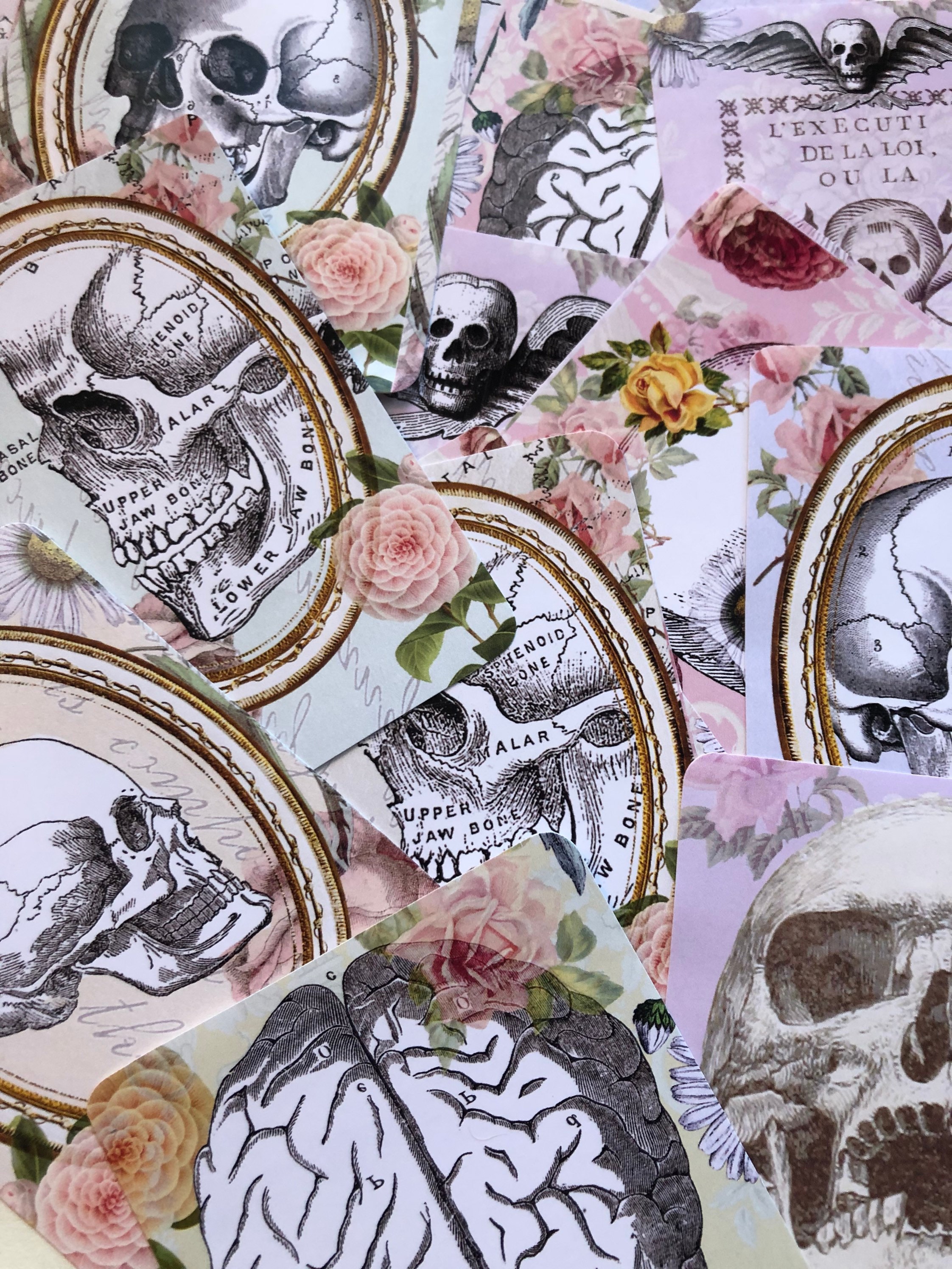 Skeleton Stickers. Anatomical Stickers of Skulls and Roses. Pretty ...