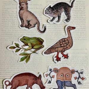 Medieval Stickers. Medieval Manuscript Animal Stickers - Etsy