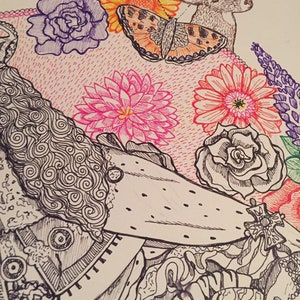 King Charles II Pen Drawing. Illustarted Royalty Coloured Pen Drawing ...