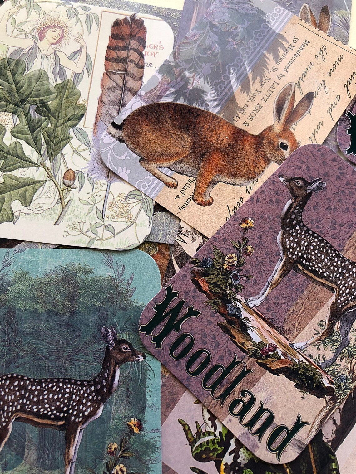 Woodland stickers. Pretty vintage style woodland stickers | Etsy