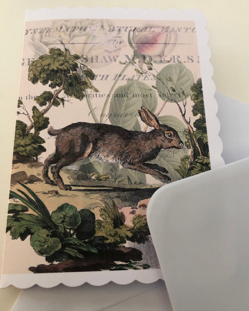 Hare Card. Pretty Vintage Style Hare Card - Etsy UK