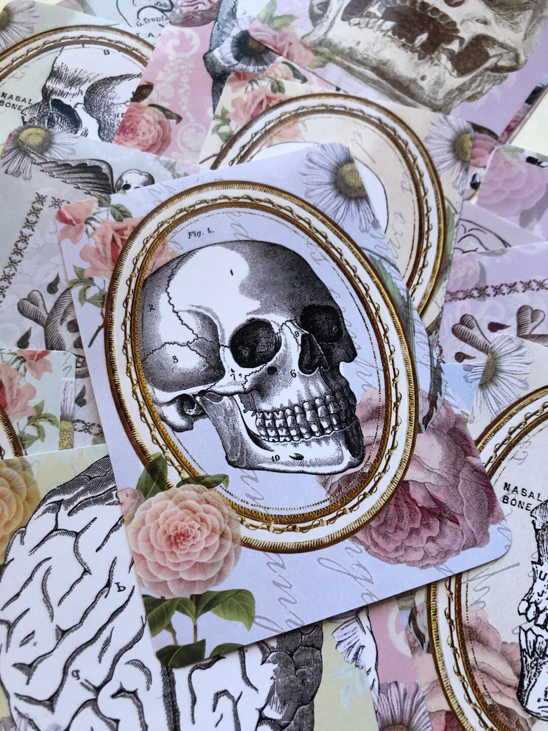 Skeleton Stickers. Anatomical Stickers of Skulls and Roses. Pretty ...