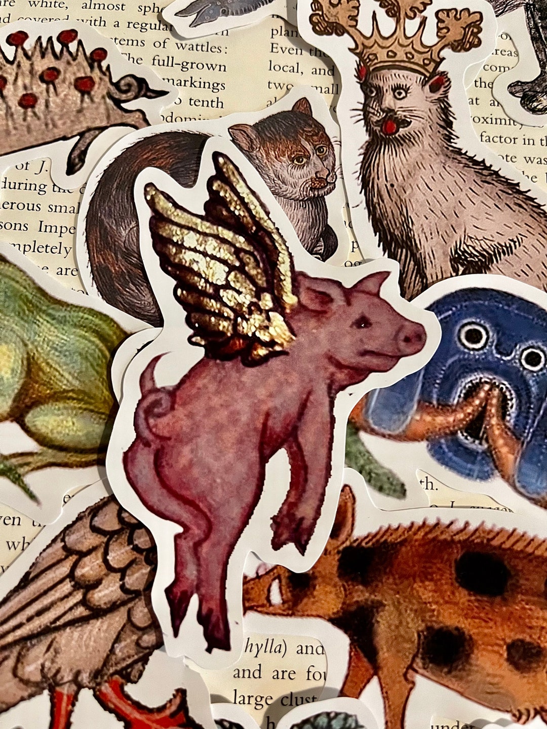 Medieval Stickers. Medieval Manuscript Animal Stickers - Etsy