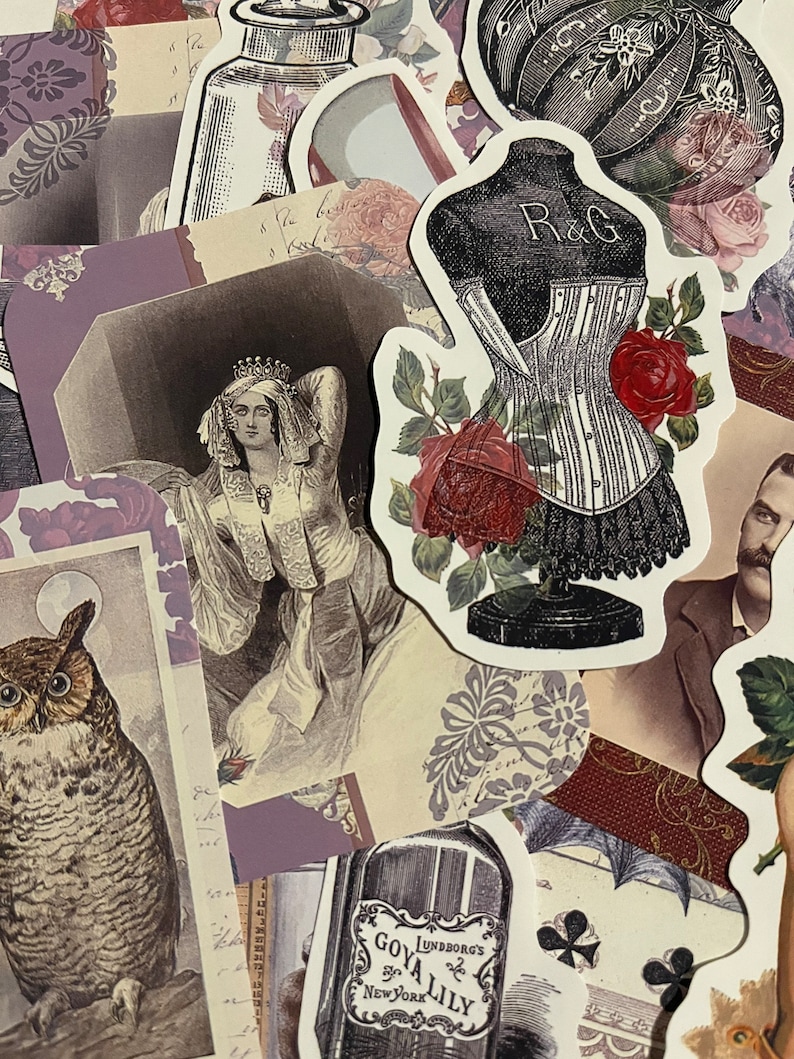 Vampire Sticker Set. Victorian Style Dracula Stickers. Bram - Etsy