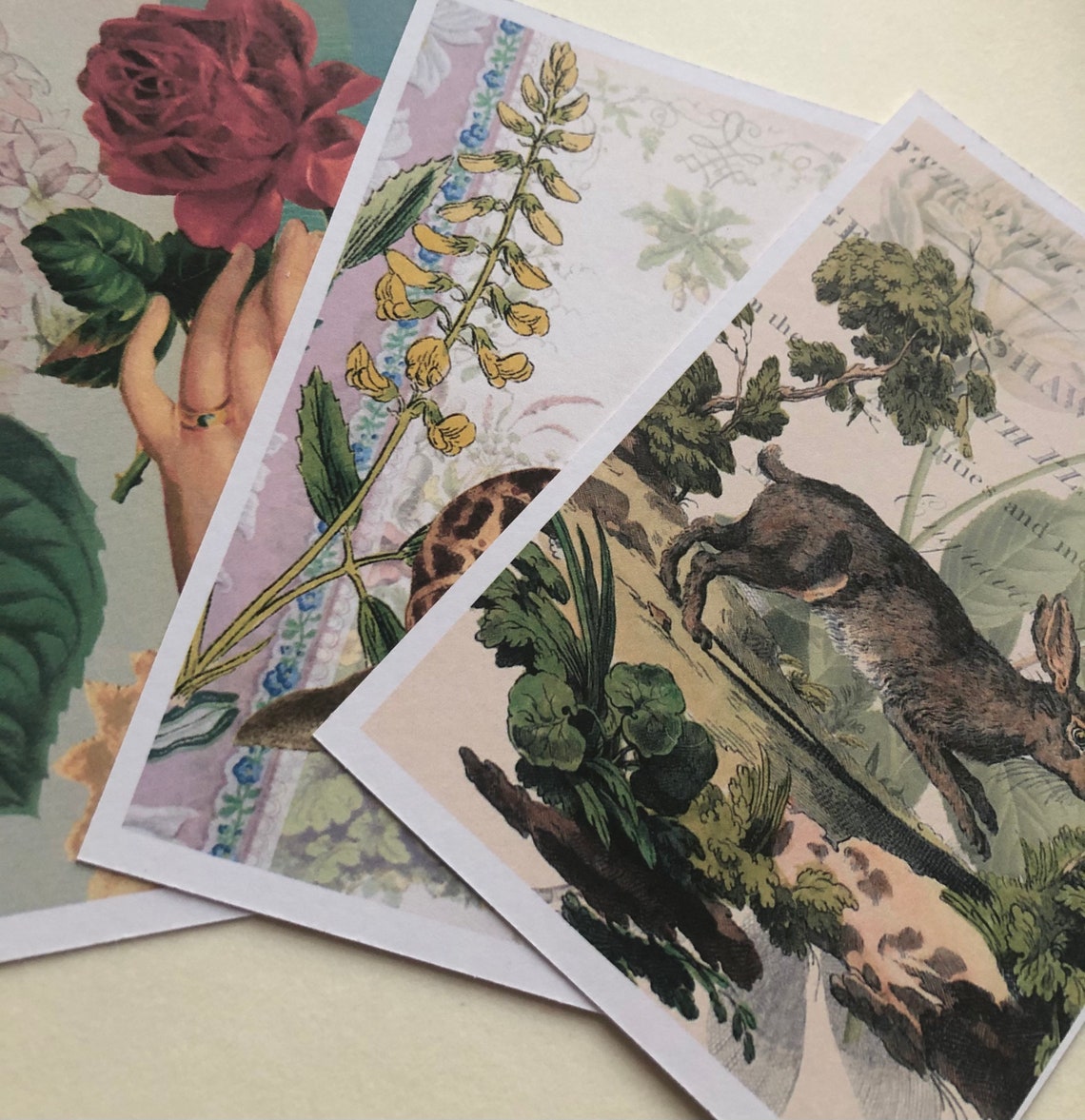 Secret garden postcards. Pretty garden inspired postcards | Etsy