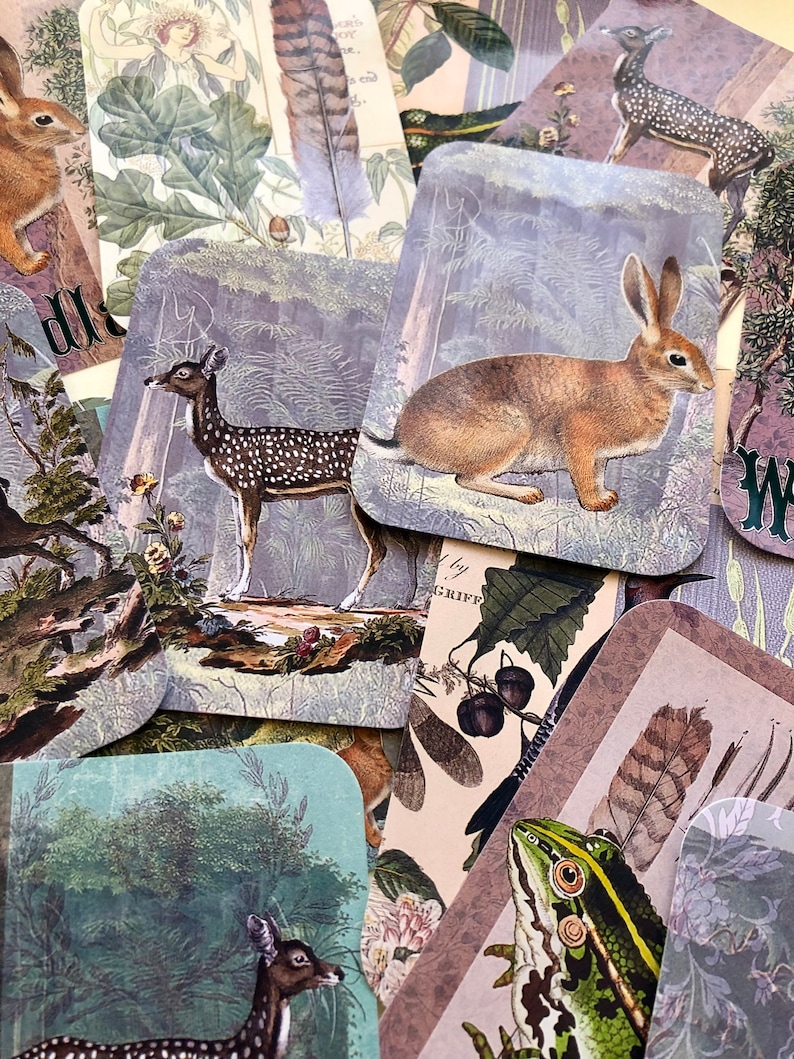 Woodland Stickers. Pretty Vintage Style Woodland Stickers | Etsy UK