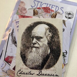 Charles Darwin Stickers - Beautiful Botanic Style Stickers - Etsy