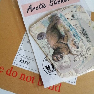 Arctic Animal Sticker Set. Vintage Style Sticker Set for Your Journal ...