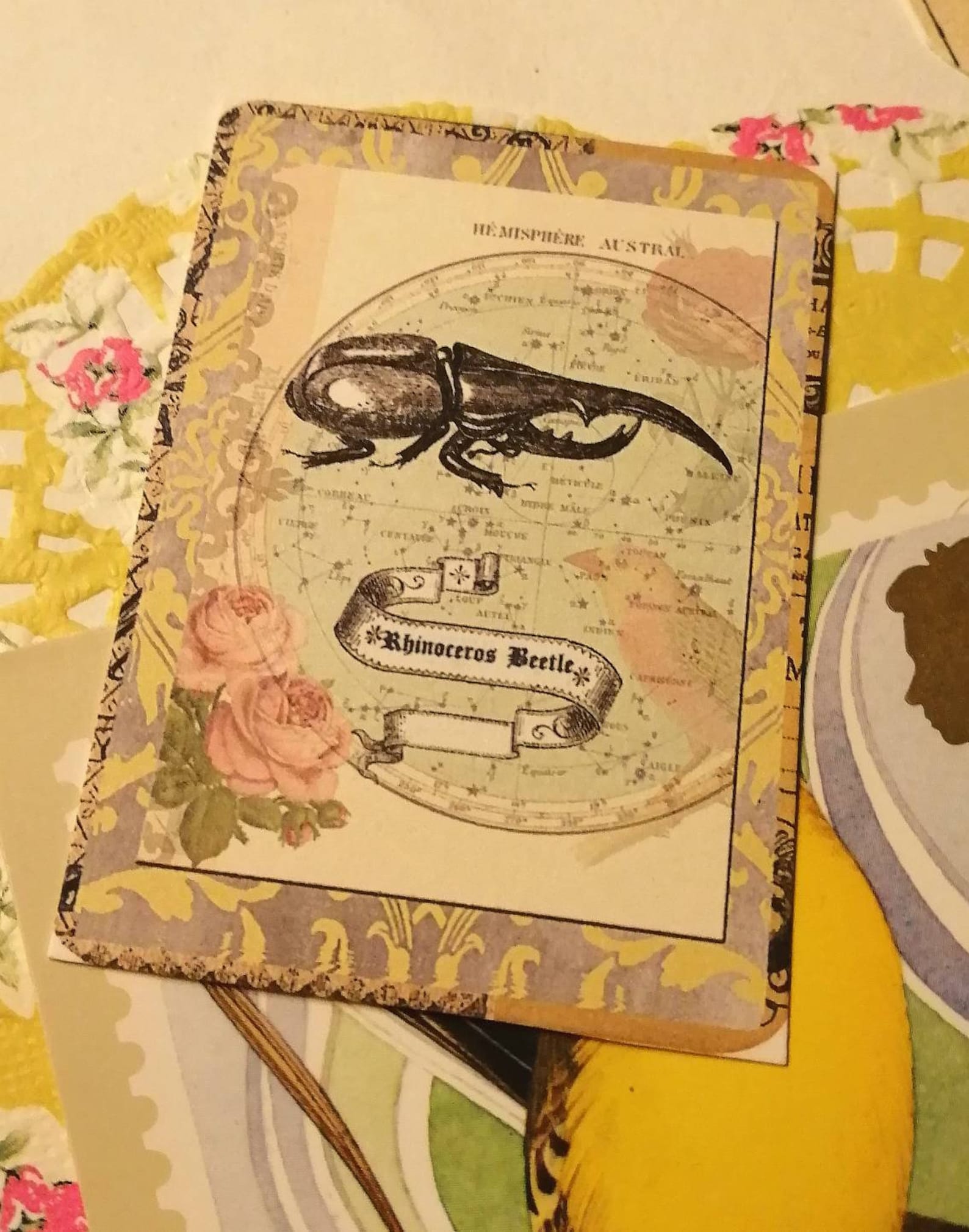 Tarot sticker and card set. Insect style tarot cards. | Etsy