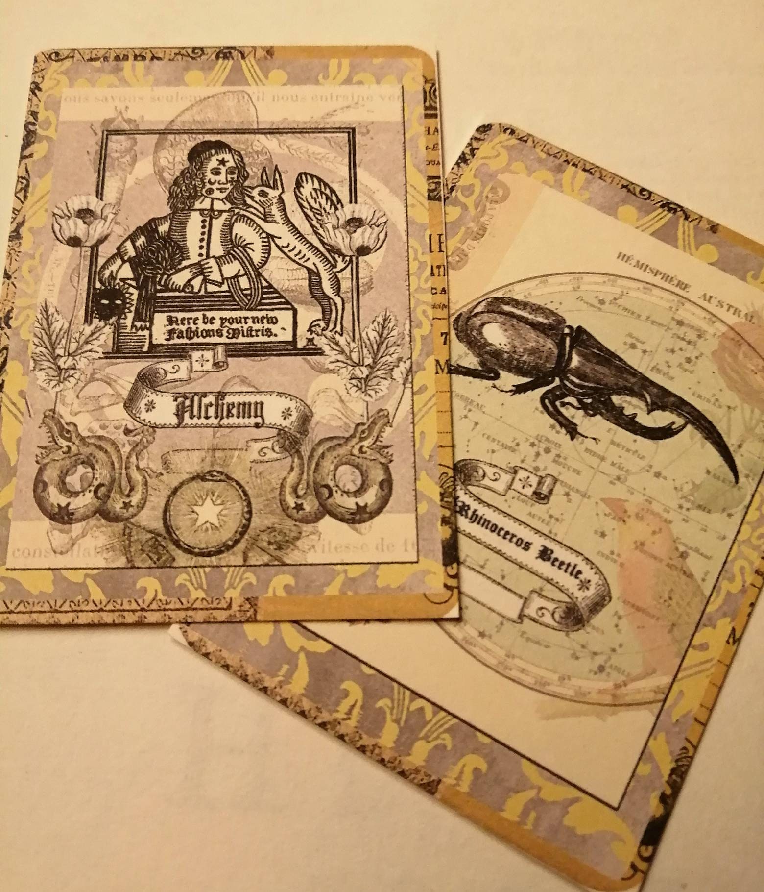 Tarot sticker and card set. Insect style tarot cards. | Etsy