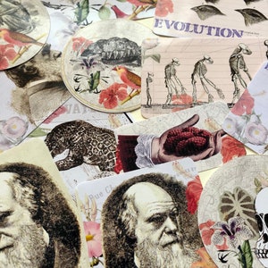 Charles Darwin Stickers - Beautiful Botanic Style Stickers - Etsy UK