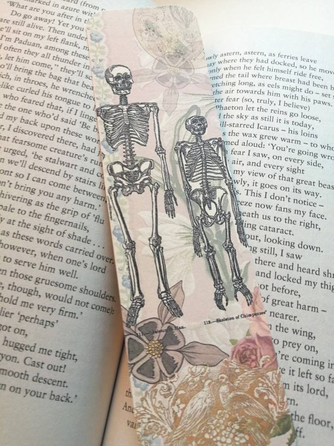 Anatomical Bookmarks. Skeleton and Anatomical Bookmarks - Etsy UK