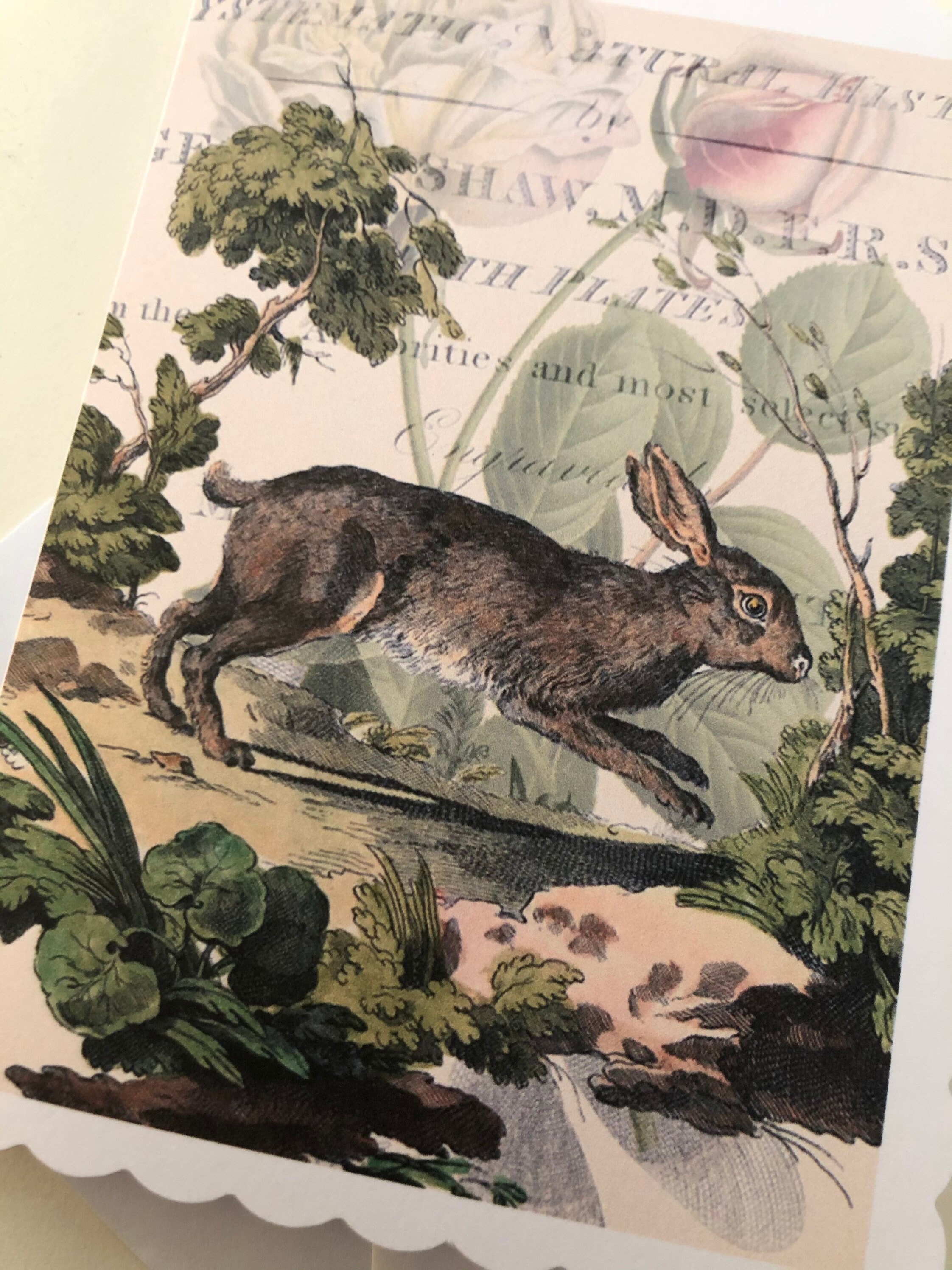 Hare Card. Pretty Vintage Style Hare Card - Etsy UK