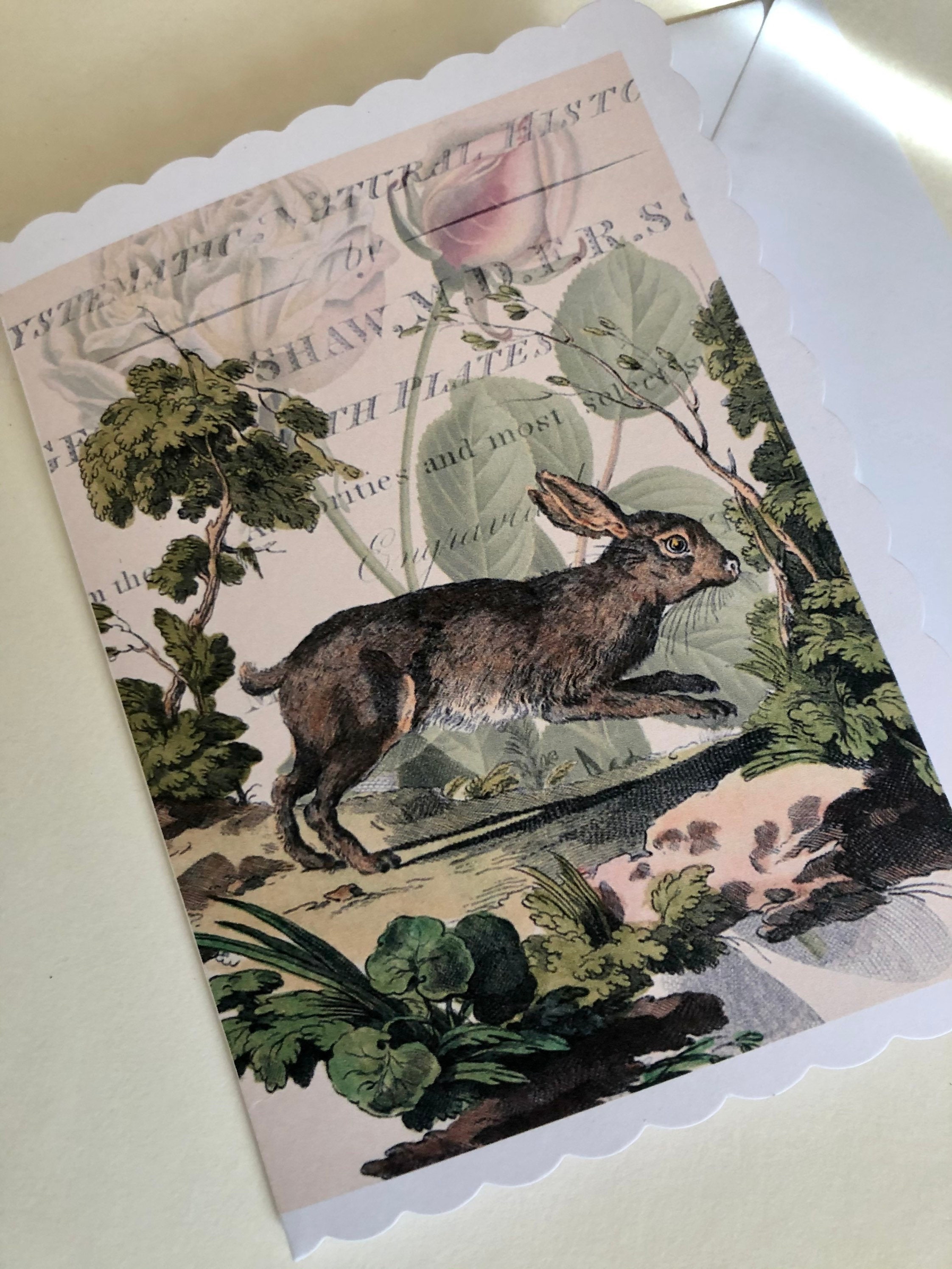Hare Card. Pretty Vintage Style Hare Card - Etsy UK