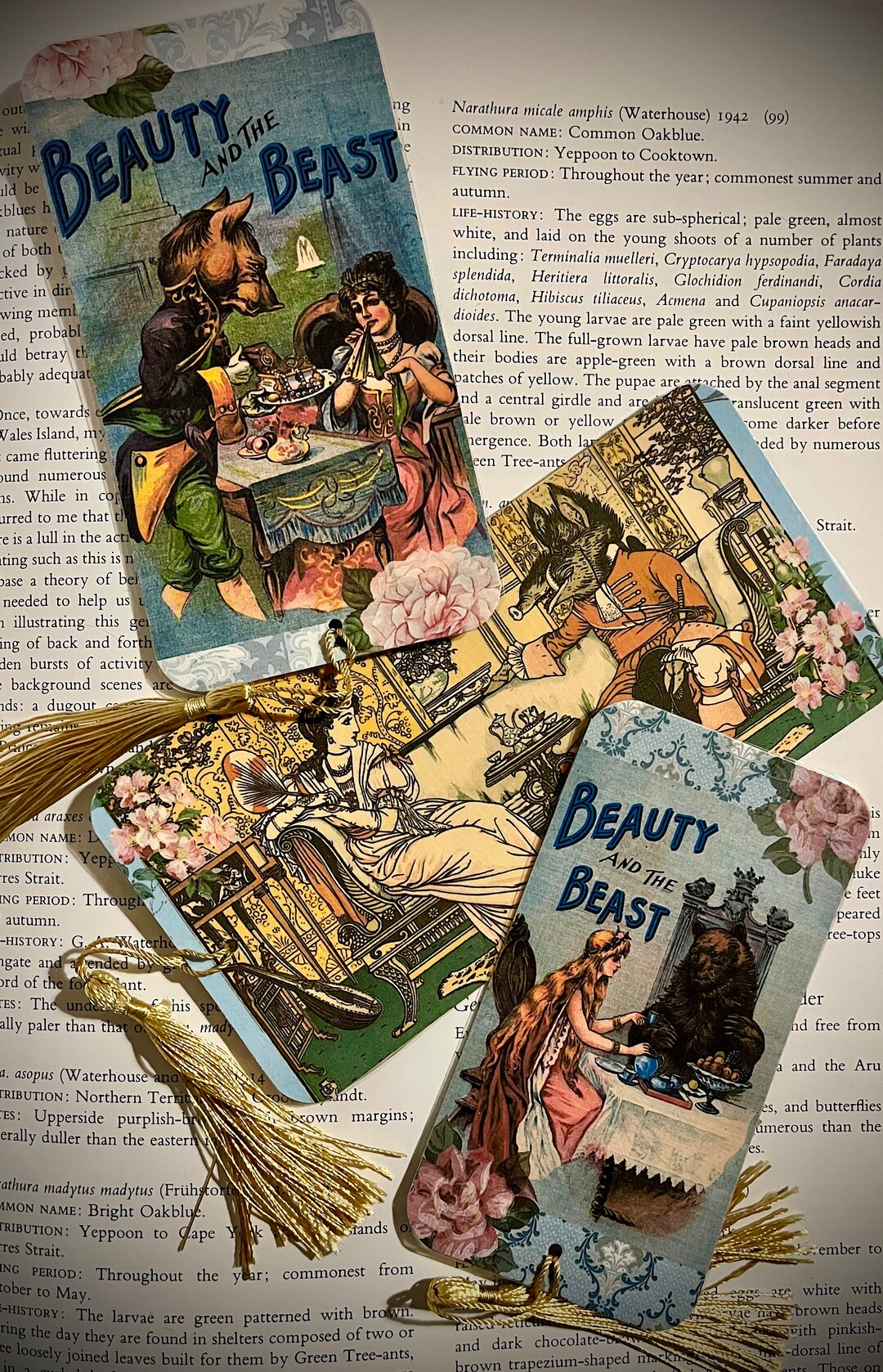 Beauty and the Beast Bookmarks. Pretty Bookmarks With a Beauty and the ...