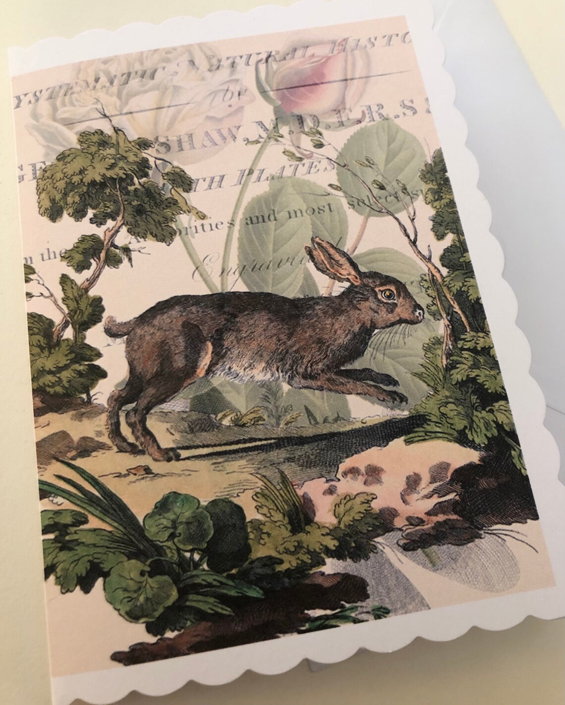 Hare Card. Pretty Vintage Style Hare Card - Etsy UK