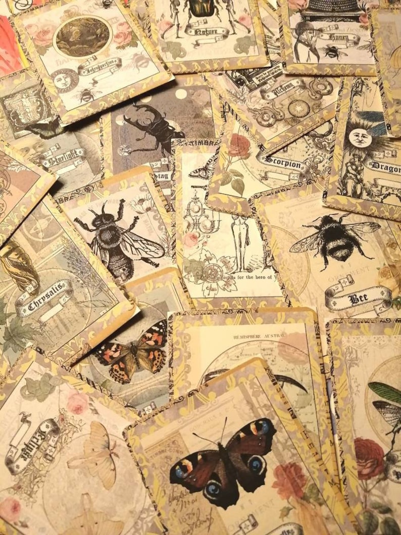 Tarot sticker and card set. Insect style tarot cards. | Etsy