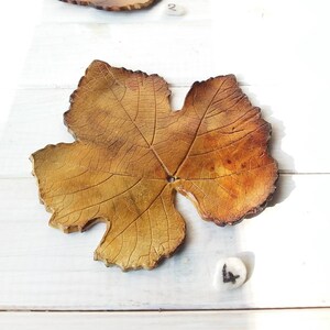 Ceramic Wall Hanging Ceramic Leaf Ceramic Vine Leaf Ceramic - Etsy