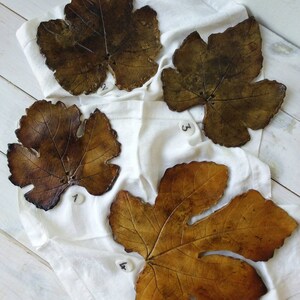 Ceramic Wall Hanging, Ceramic Leaf, Ceramic Vine Leaf, Ceramic Wall Art ...