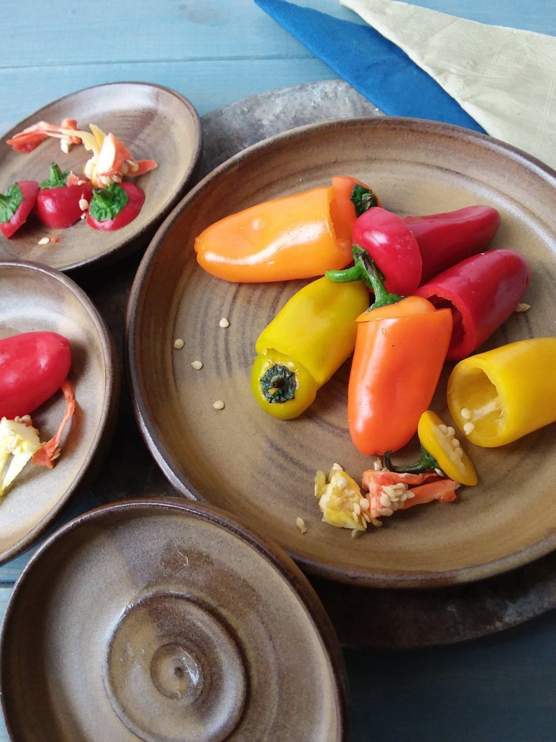 Rustic Pottery Modern Pottery Bronze Ceramic Plate Ceramic - Etsy