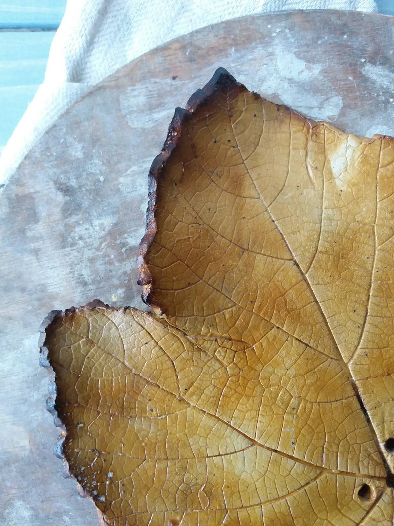 Ceramic Wall Hanging Ceramic Leaf Ceramic Vine Leaf Ceramic | Etsy