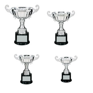 Real Metal Cup Trophy in Gold or Silver Trophy Award, Engraved ...