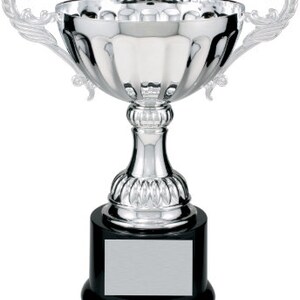 Real Metal Cup Trophy in Gold or Silver Trophy Award, Engraved ...