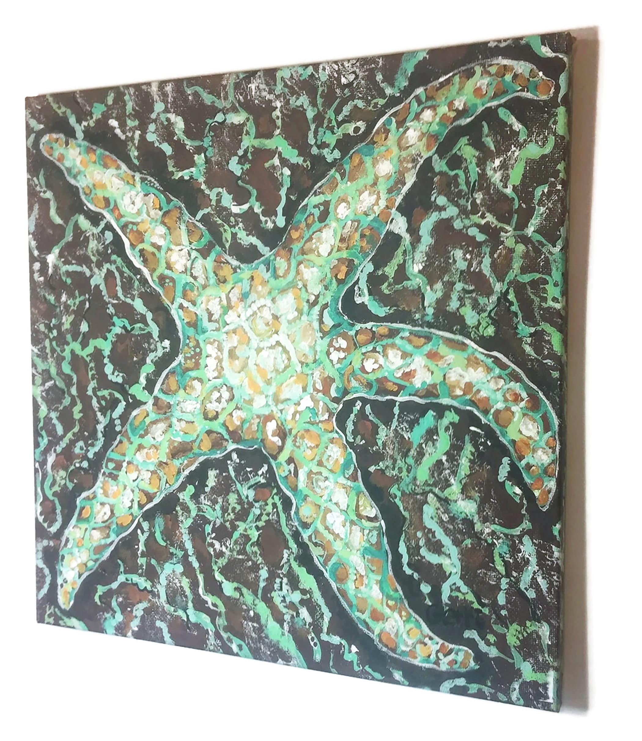 Starfish Art on Canvas Large Coastal Artwork 30 X 30 - Etsy
