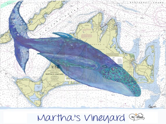 Martha's Vineyard Whale Logo