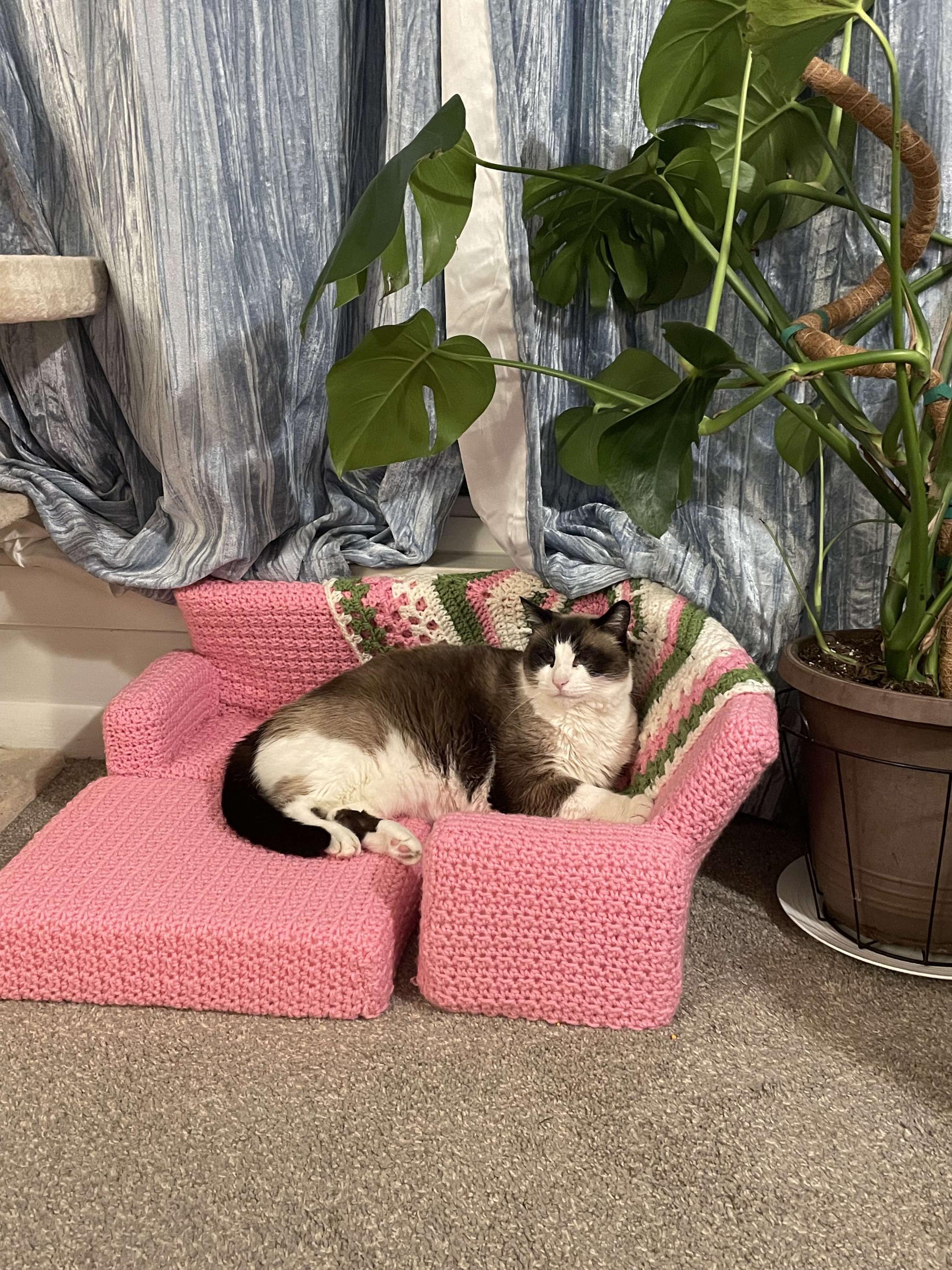 Sectional Cat Couch - Etsy