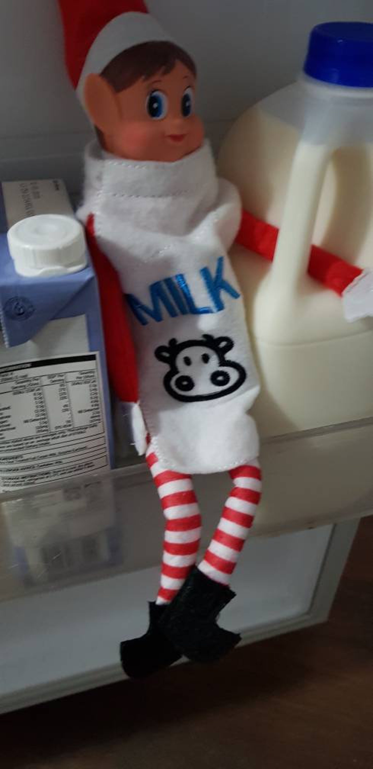 Elf On The Shelf Milk Costume at Albert Jarman blog