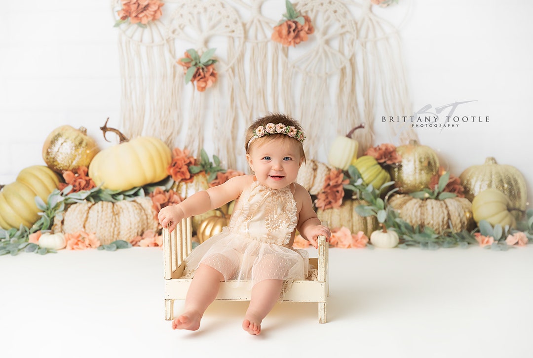 Gorgeous Gourds poly Paper Photography Backdrop - Etsy