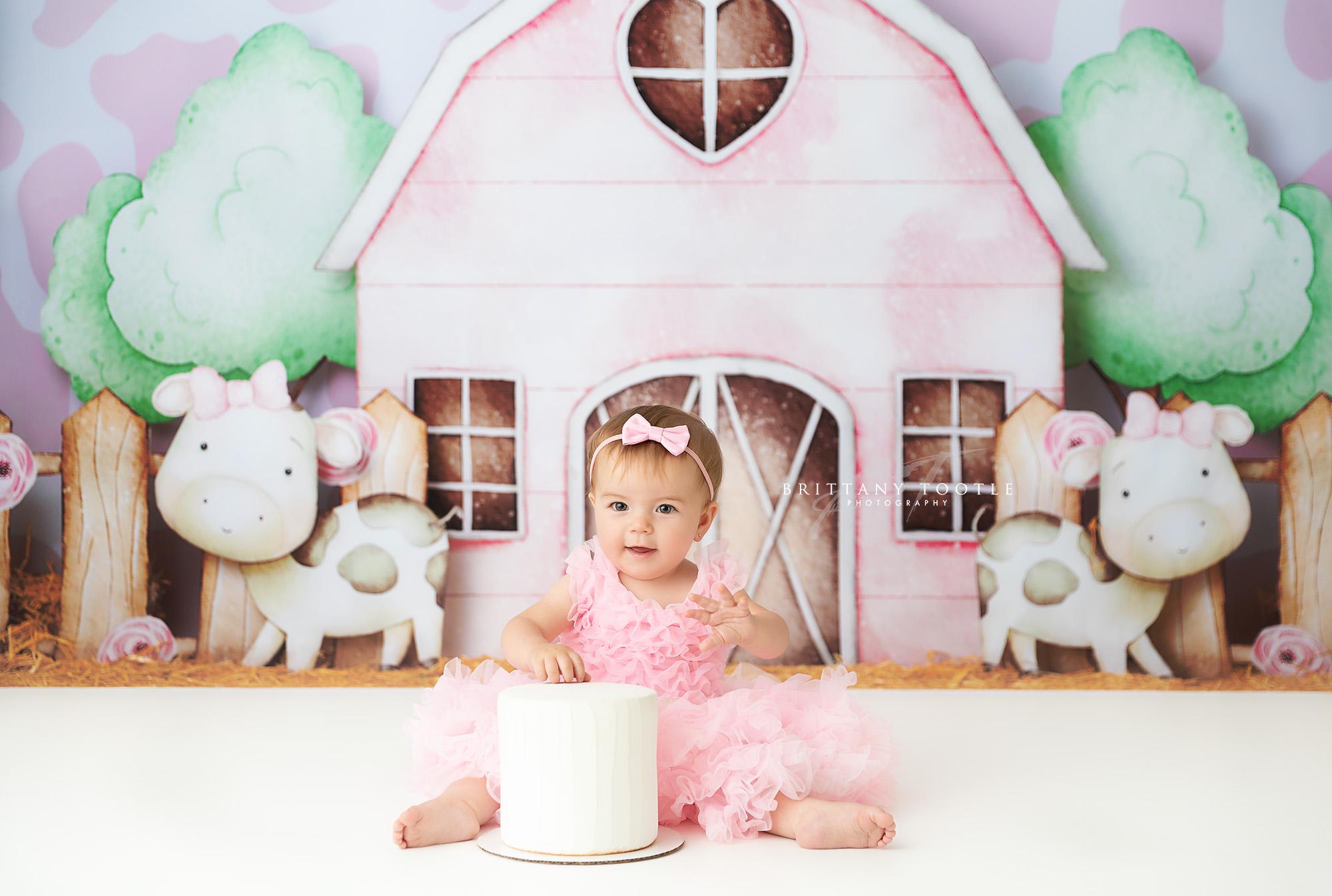 Blushing Barnyard Haven - Farmer Girl , 1st Birthday - Photography ...