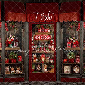 Downtown Window Shopping- Photography Printed Backdrop- Fabric Backdrop ...